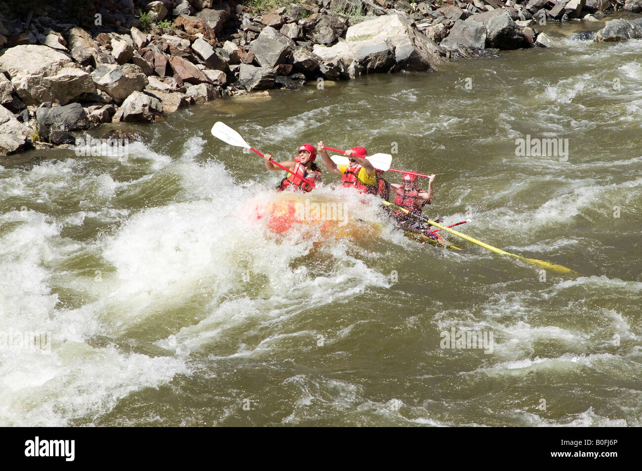 Nepalese river guide rowing a commercial raft through the Royal Gorge ...