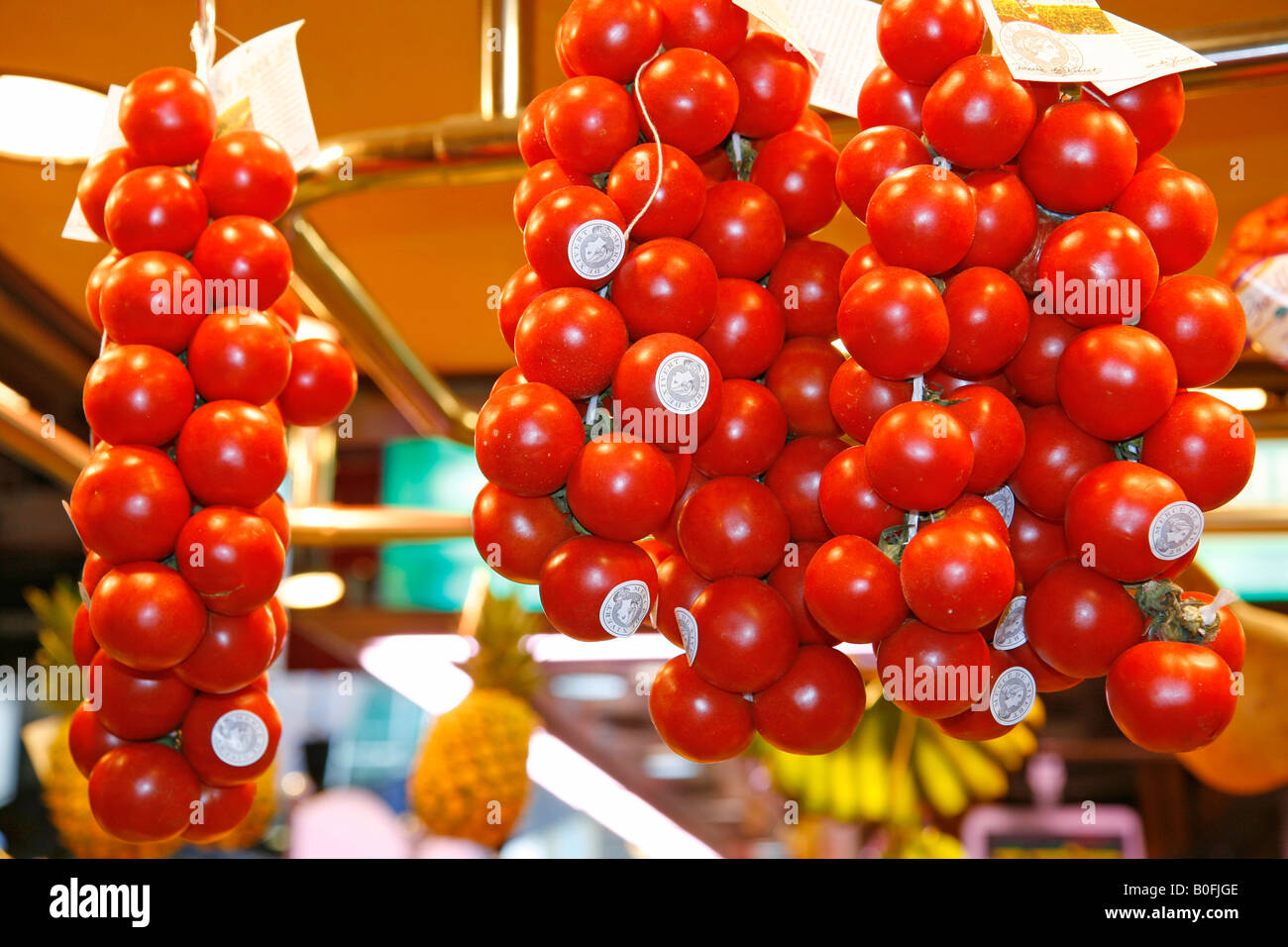 Hanging tomatoes spain hi-res stock photography and images - Alamy