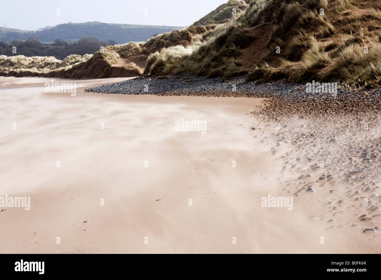 Moving sand shows how dunes are built at Sandscale Haws in Cumbria ...