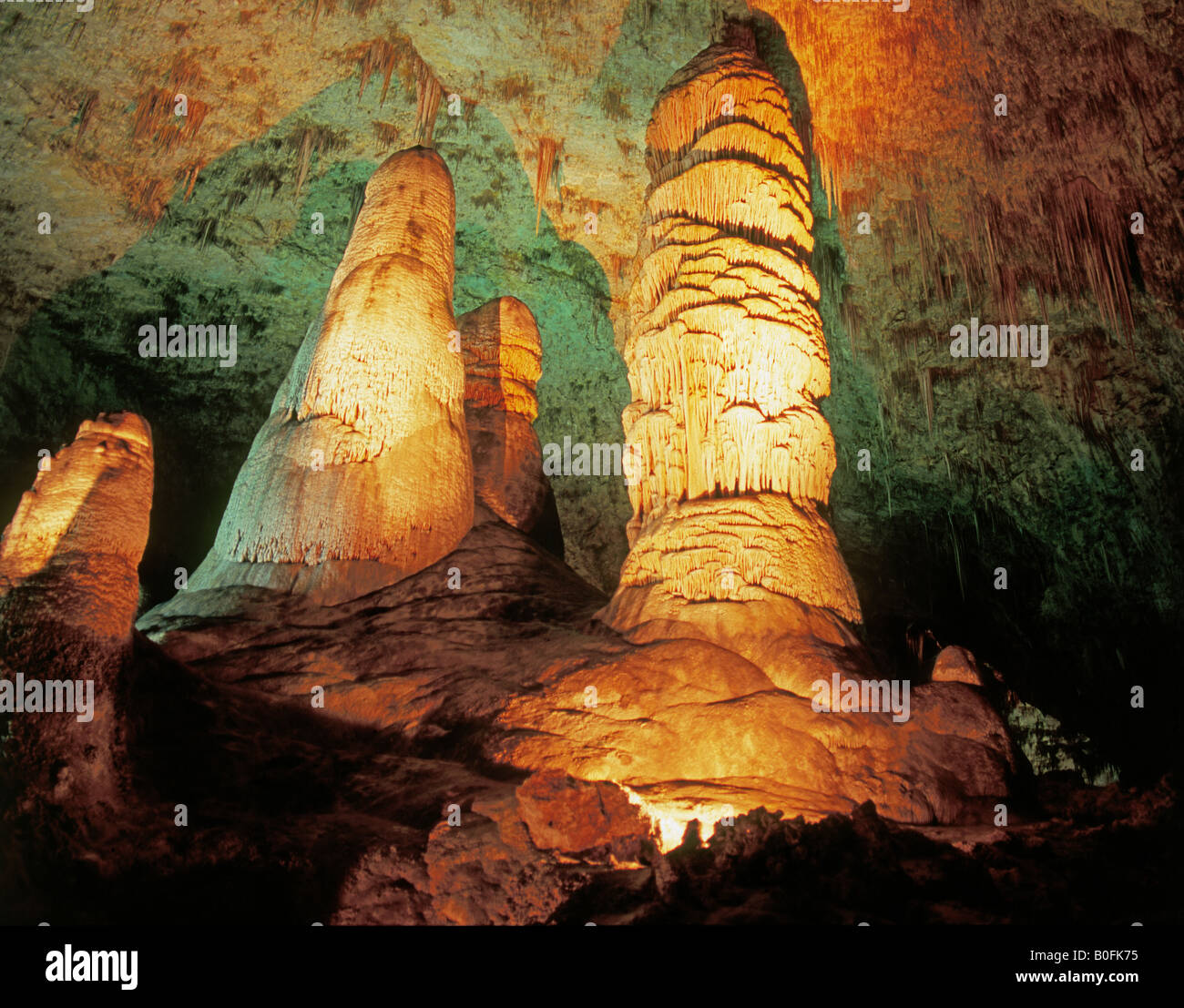 Carlsbad caverns bat hi-res stock photography and images - Alamy