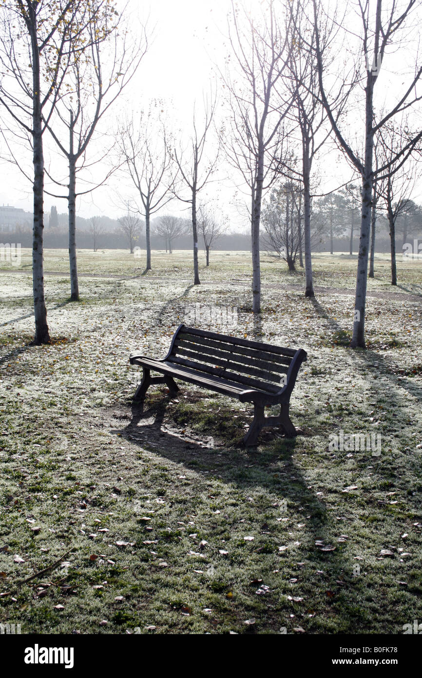 one empty bench in park with trees Stock Photo - Alamy