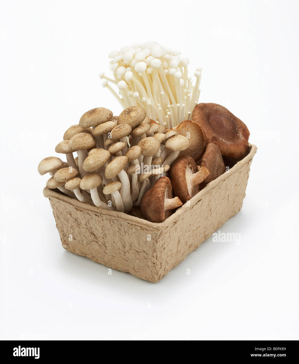box of assorted mushrooms Stock Photo - Alamy