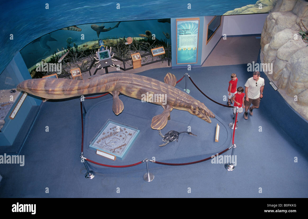 A family examines a prehistoric Cretaceous Era sea beast on display in ...