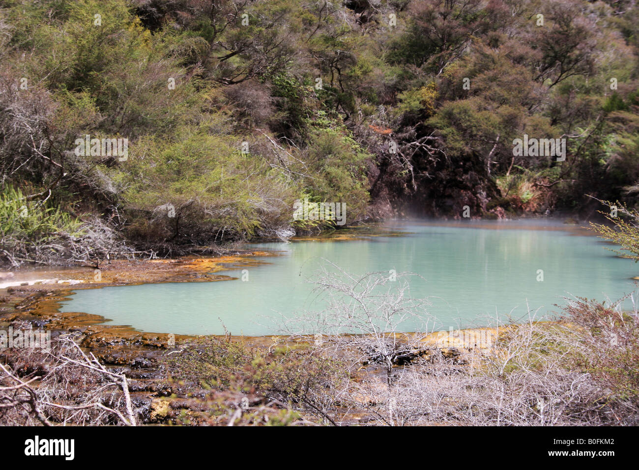 Iodine Pool, hot spring, in Waimangu Volcanic Valley, Rotorua, New ...