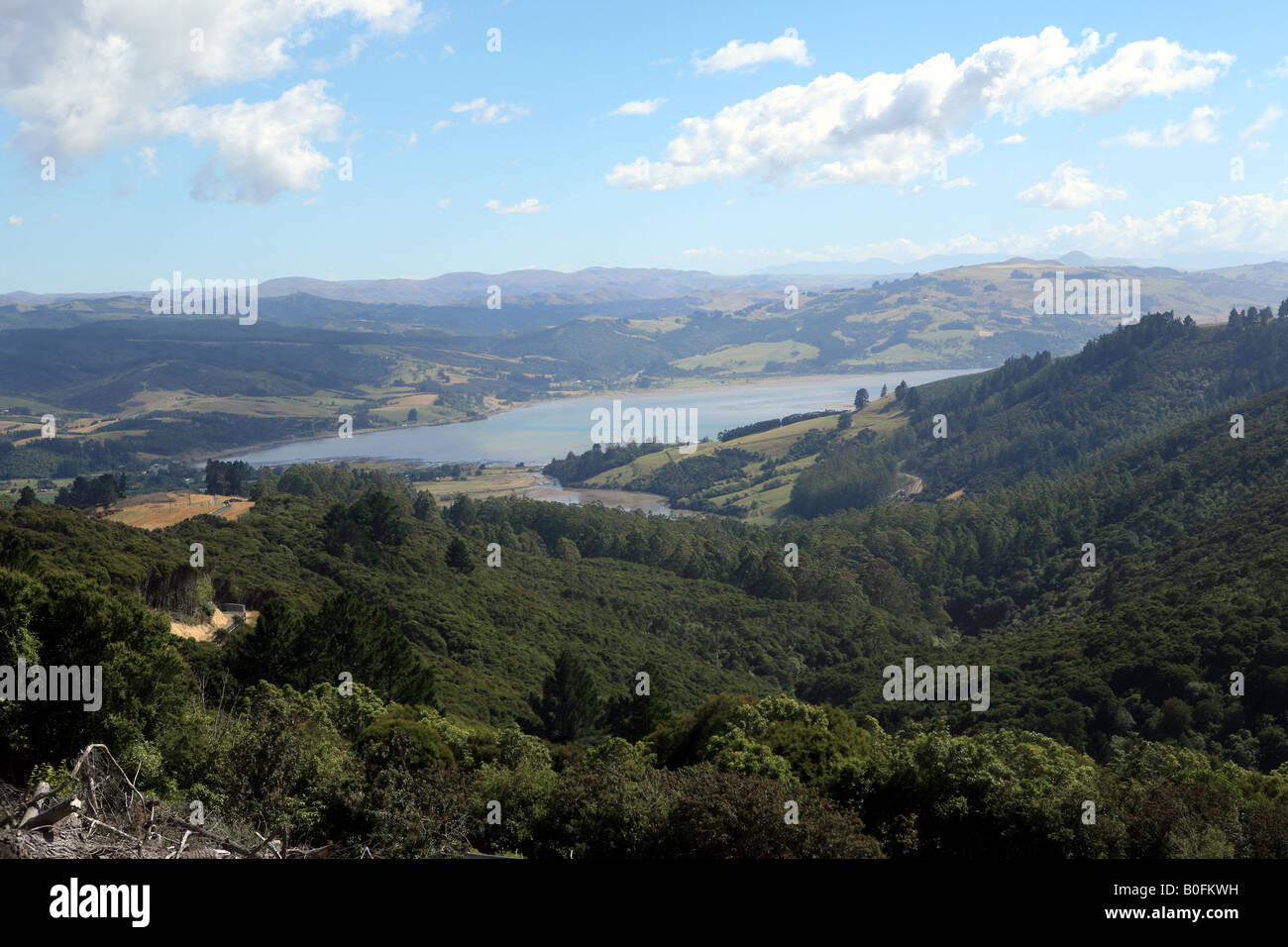 Dunedin views new zealand hi-res stock photography and images - Alamy