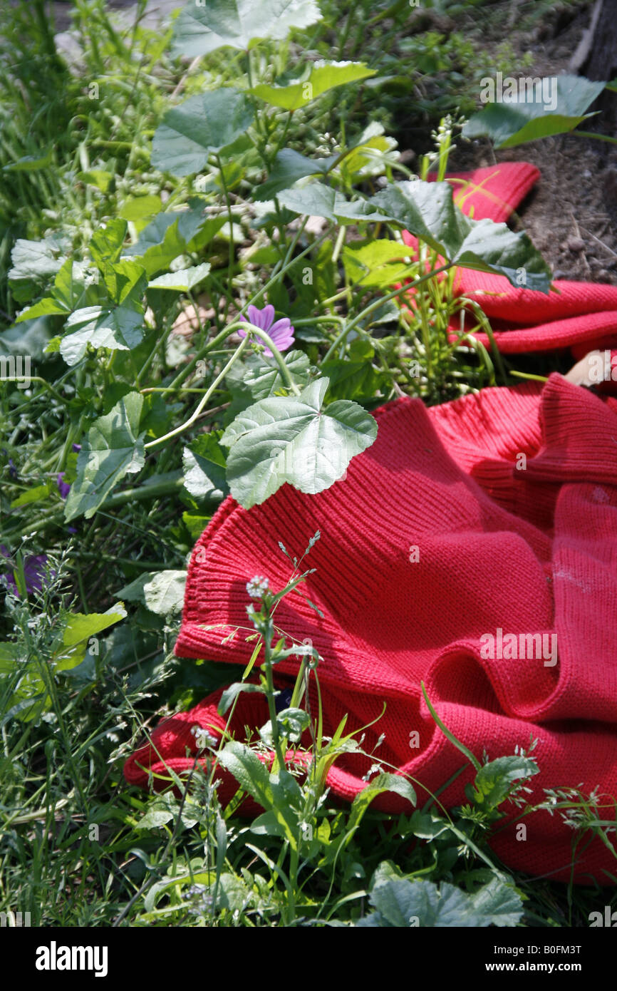 Red jumper thrown hi-res stock photography and images - Alamy