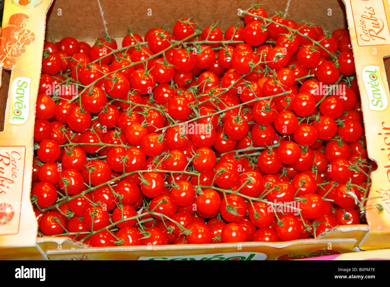 Cherry tomatoes La Boqueria Market Barcelona Catalonia Spain Stock ...