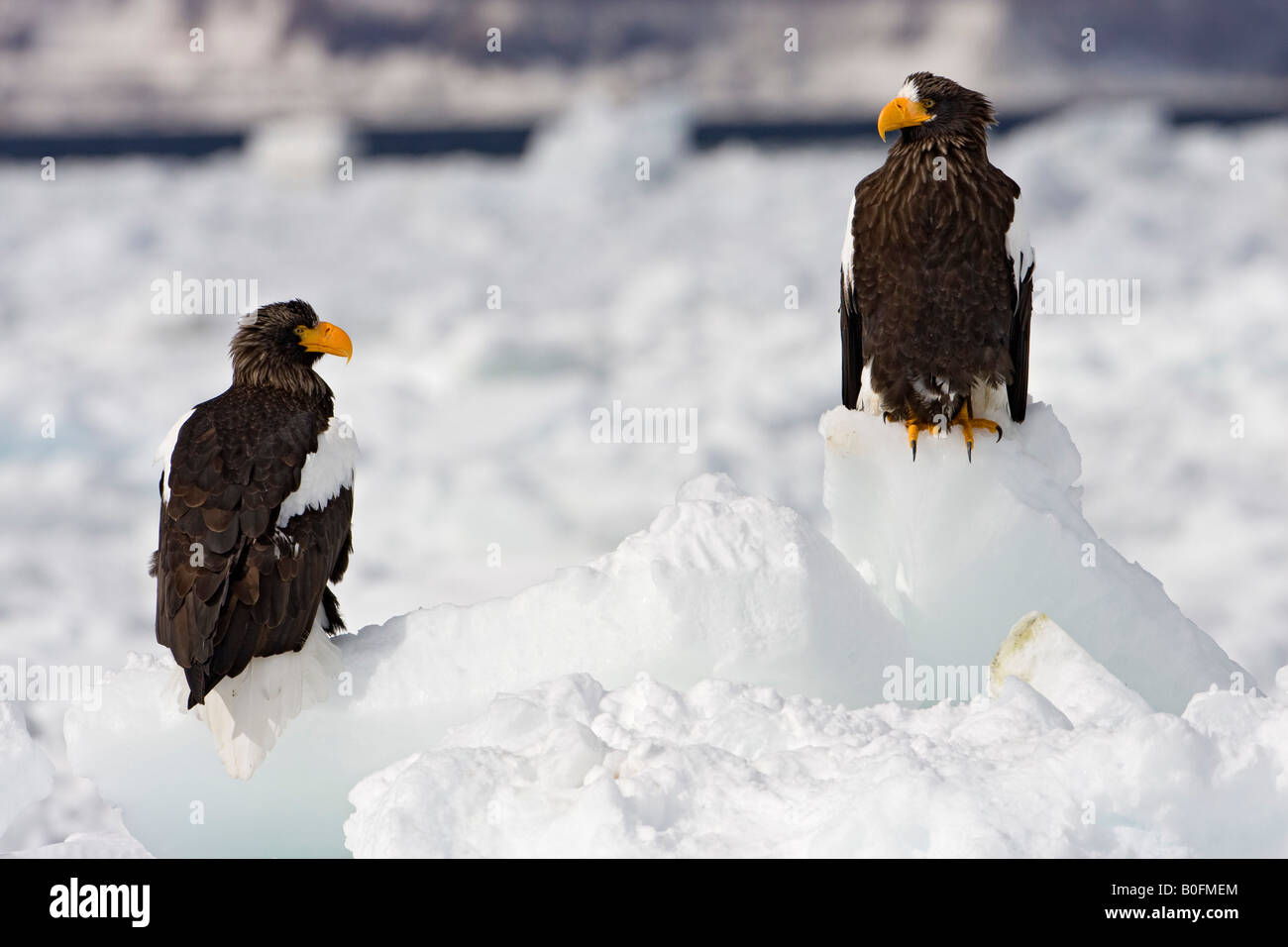 Nemuro strait hi-res stock photography and images - Alamy