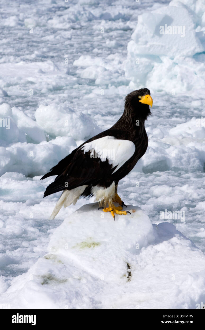 Nemuro strait hi-res stock photography and images - Alamy