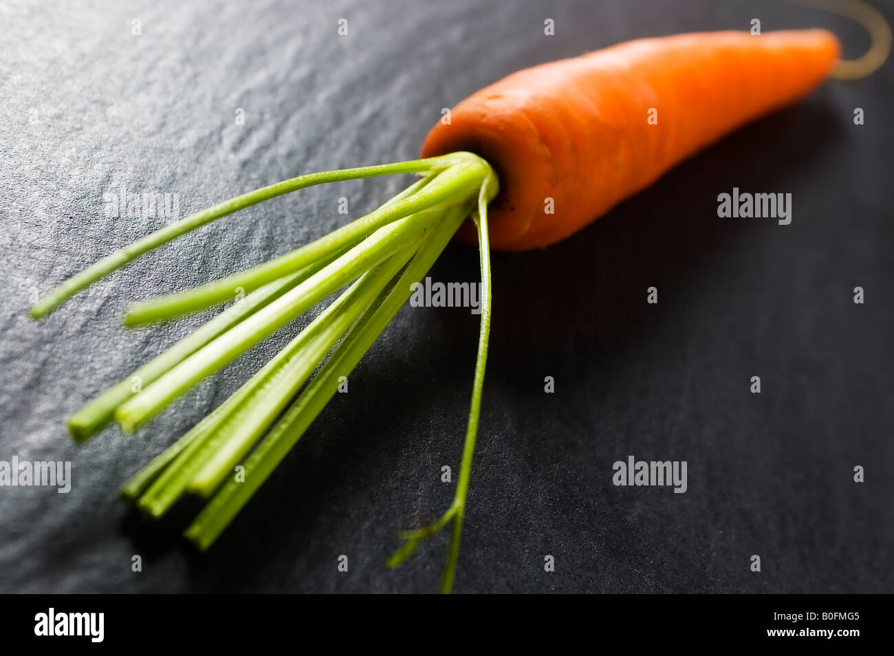 Shallow focus shot ripe hi-res stock photography and images - Alamy
