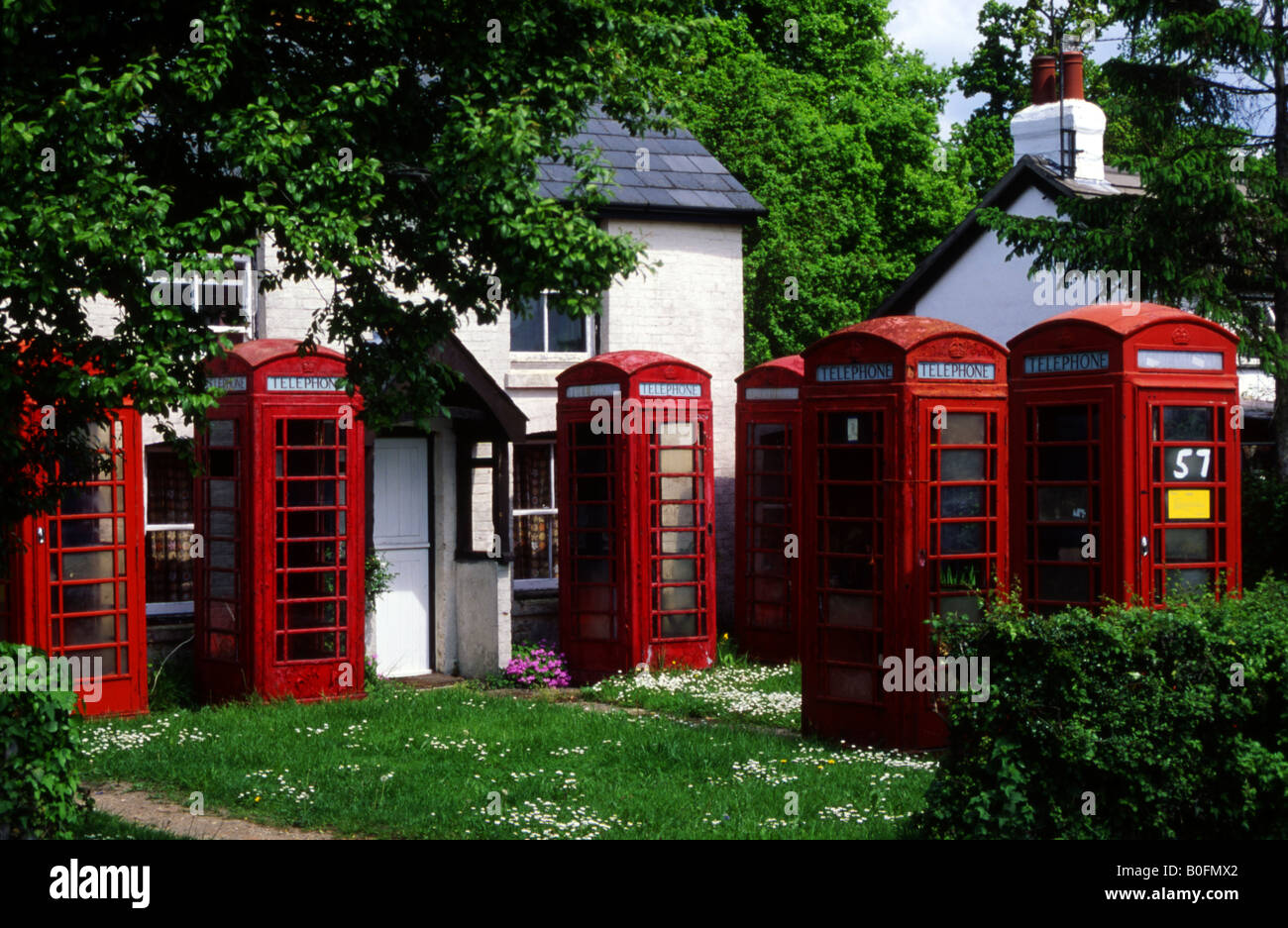 collection of traditional british red telephone boxes standing in a ...