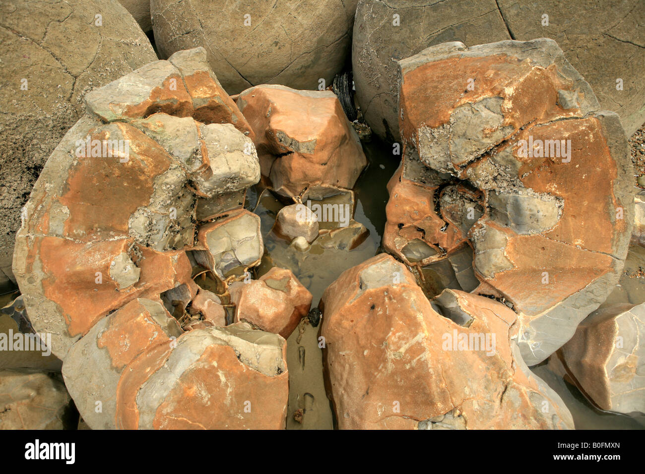 The Inside of a 60 million year old boulder lying broken on the sand at ...