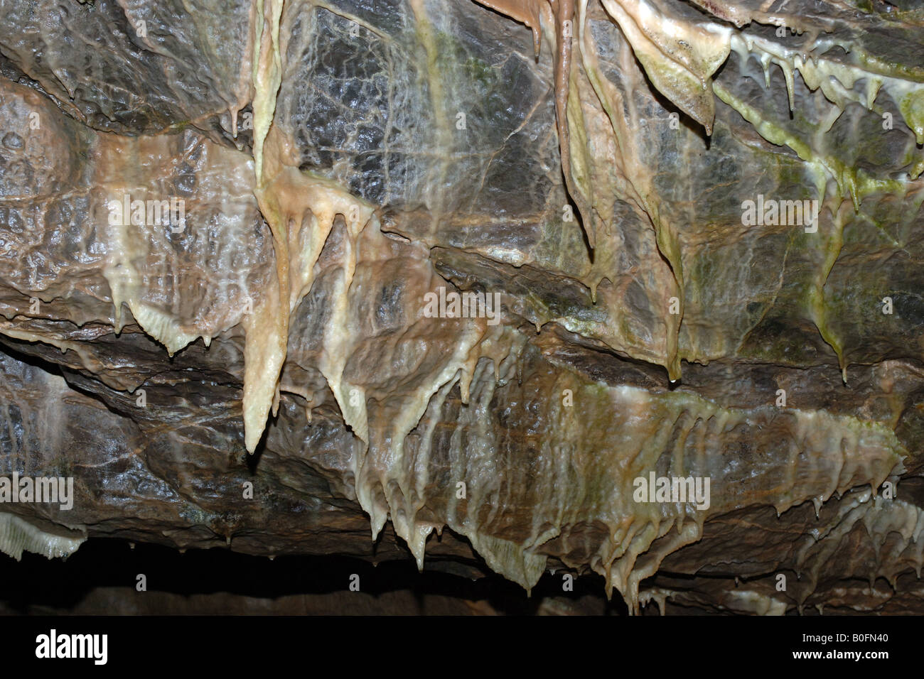 Limestone minerals in the Cheddar caves England Stock Photo - Alamy
