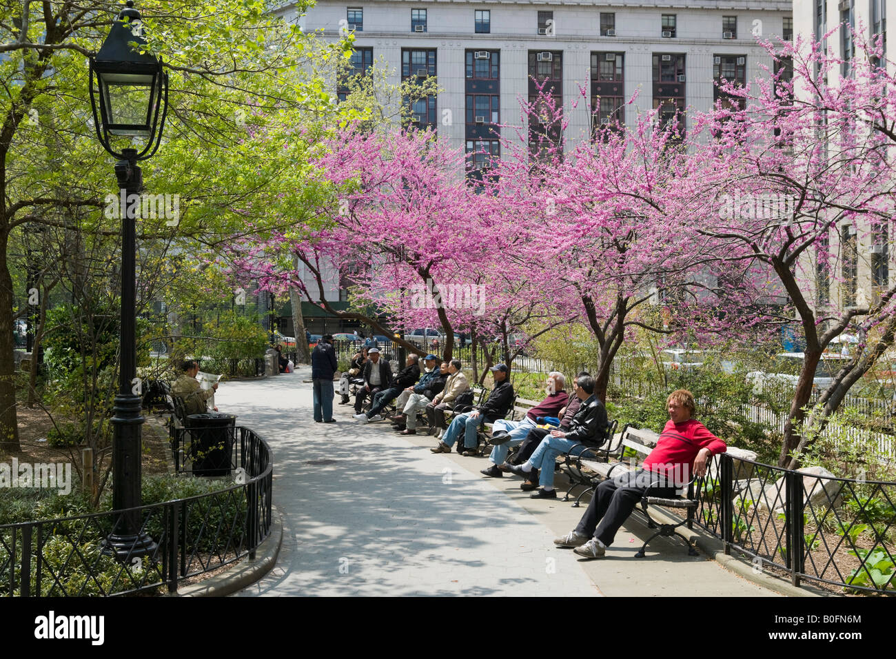 People having lunch in Columbus Park, Chinatown, Lower Manhattan, New ...