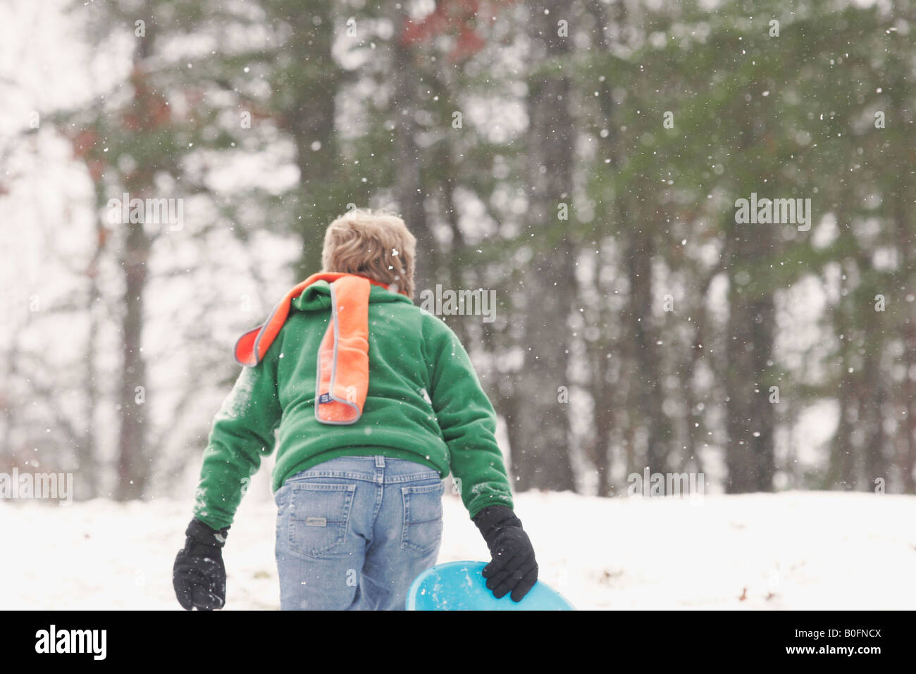 Young boy in the blowing snow pulling a sled up hill he has his back to ...