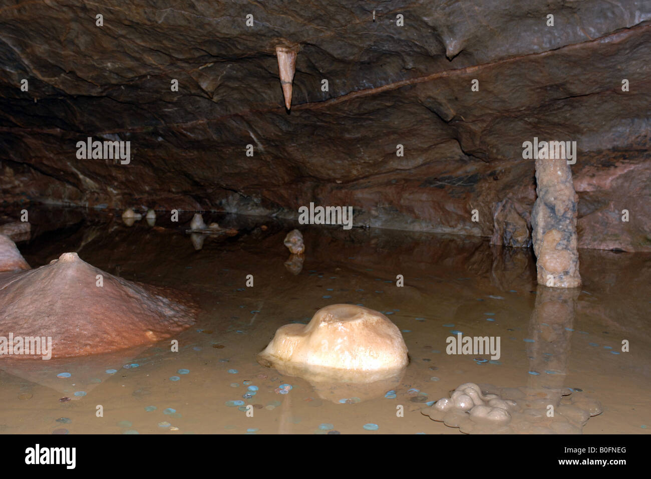 Cheddar cave stalactites stalagmites hi-res stock photography and ...