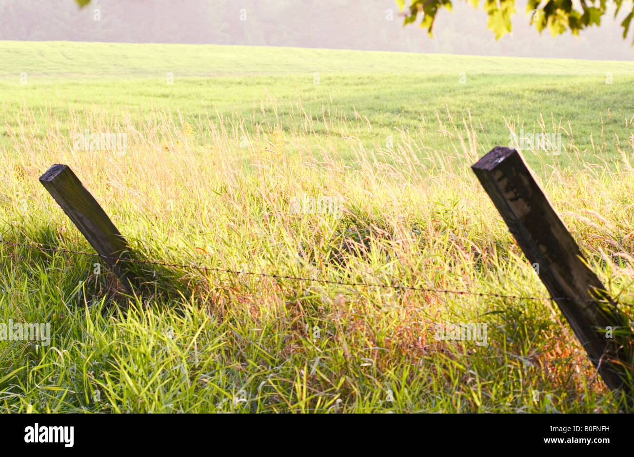 Fence Posts leaning over on a Dairy Farm in New Hampshire Stock Photo ...