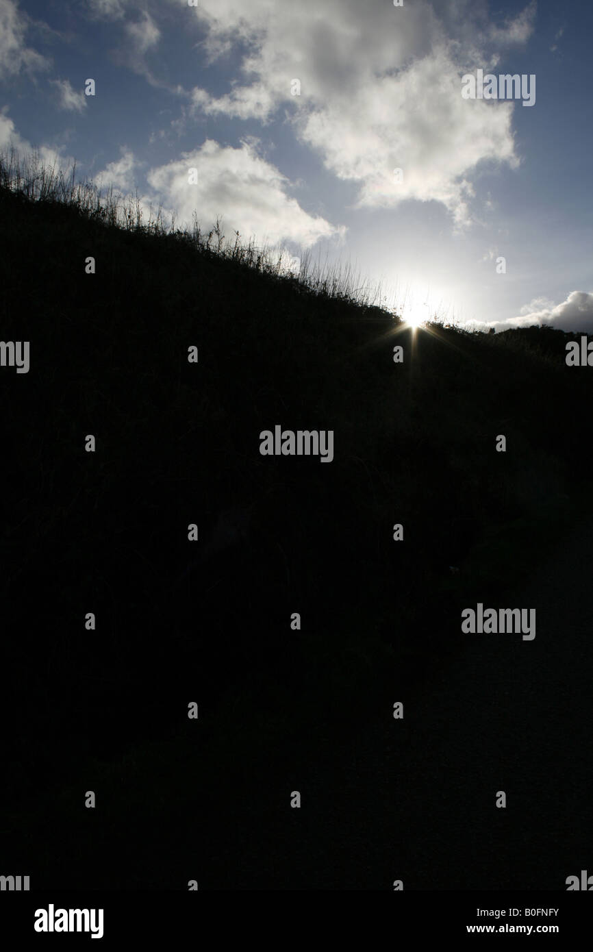 field silhouette in countryside at sunset Stock Photo - Alamy