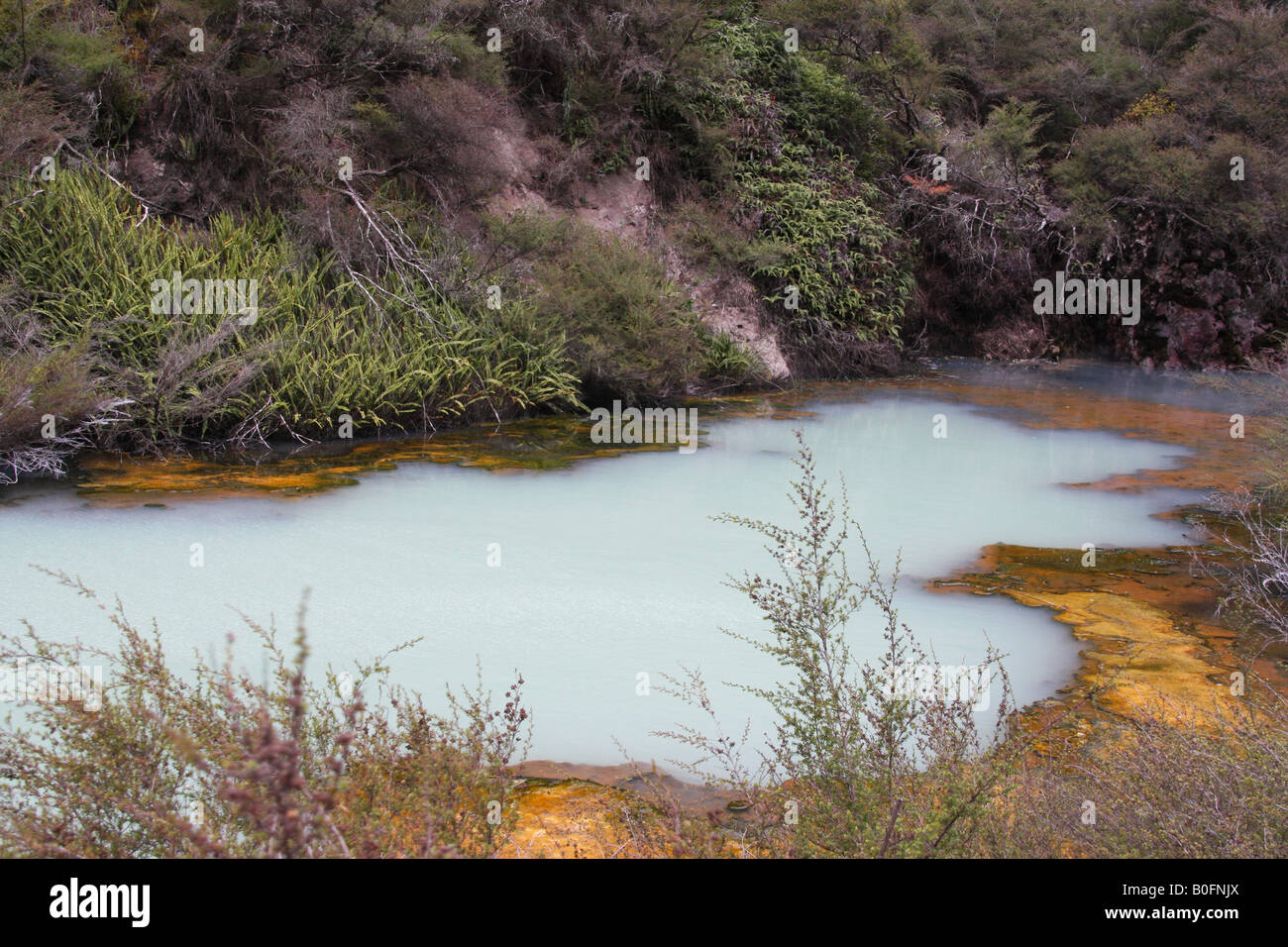 Iodine Pool, hot spring, in Waimangu Volcanic Valley, Rotorua, New ...