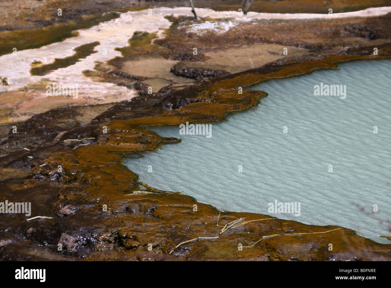 Iodine pool hi-res stock photography and images - Alamy
