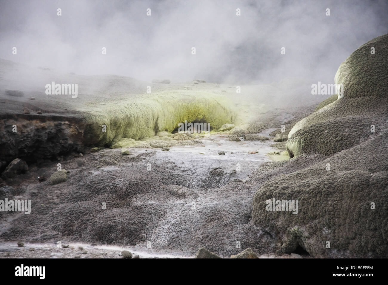 Steaming hot sulfuric rock surface at the site of Pohutu geyser ...