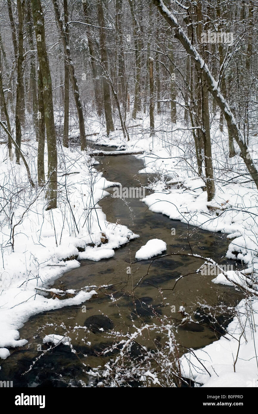 Winding new forest stream hi-res stock photography and images - Alamy