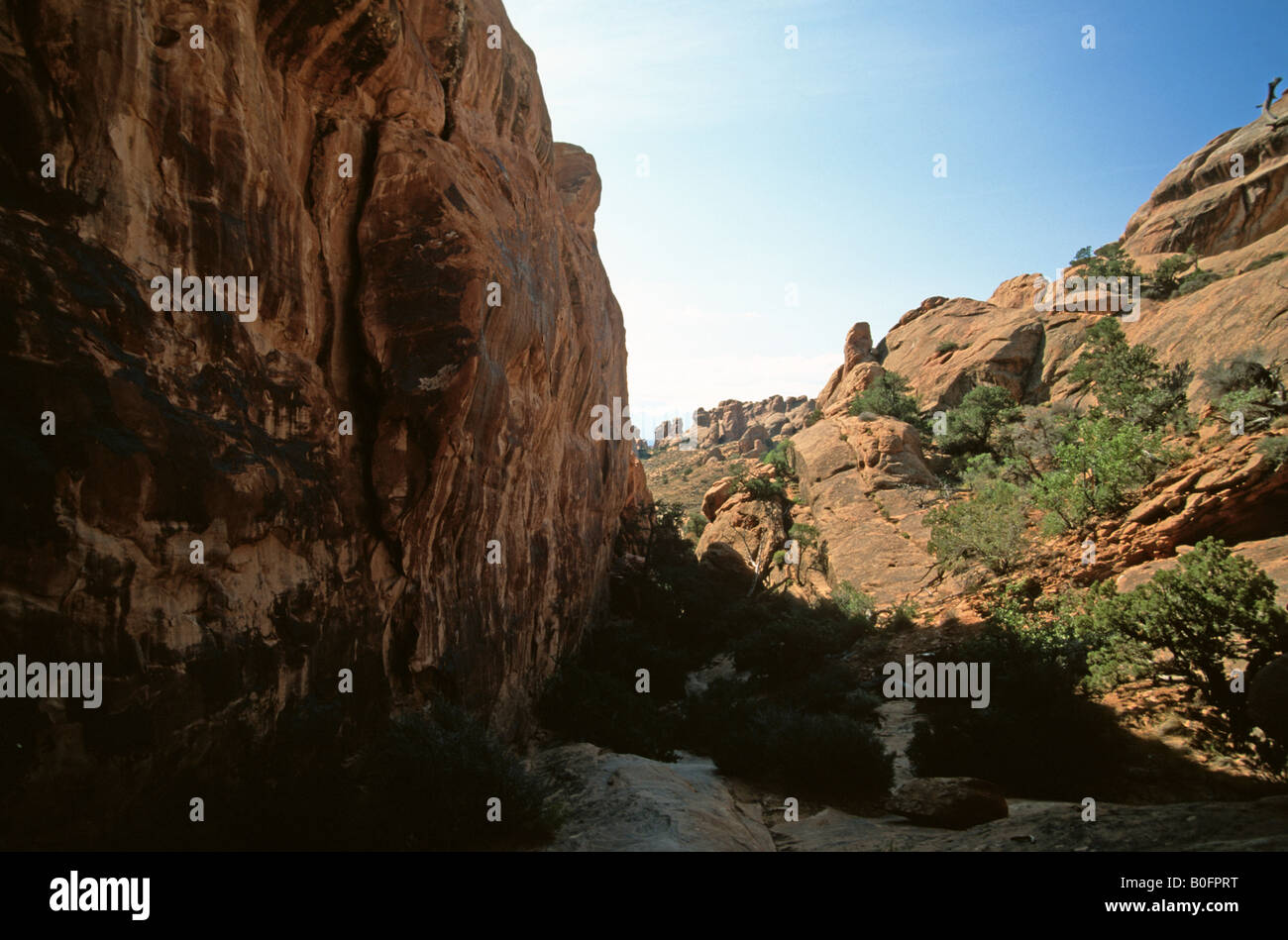 Primitave loop hi-res stock photography and images - Alamy