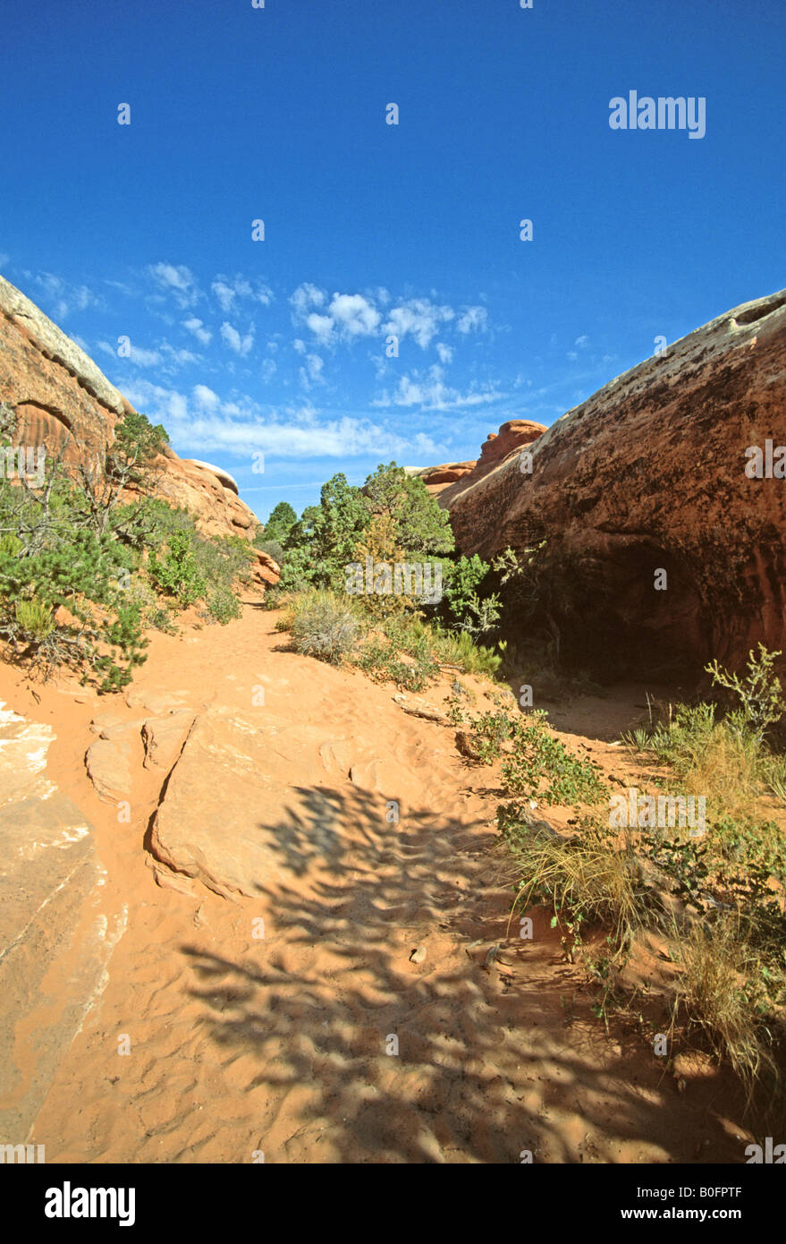 Primitave loop hi-res stock photography and images - Alamy