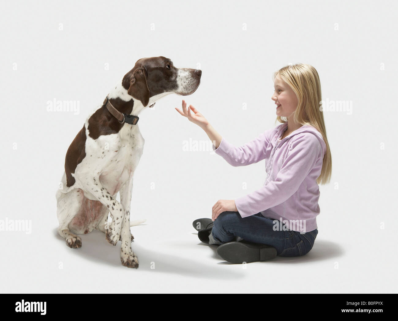 Girl tickling Pointers chin Stock Photo - Alamy
