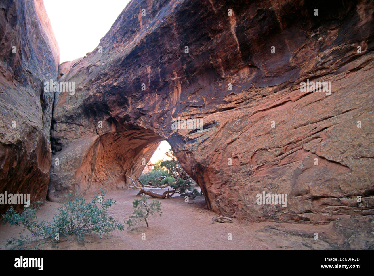 Anniversary arch hi-res stock photography and images - Alamy