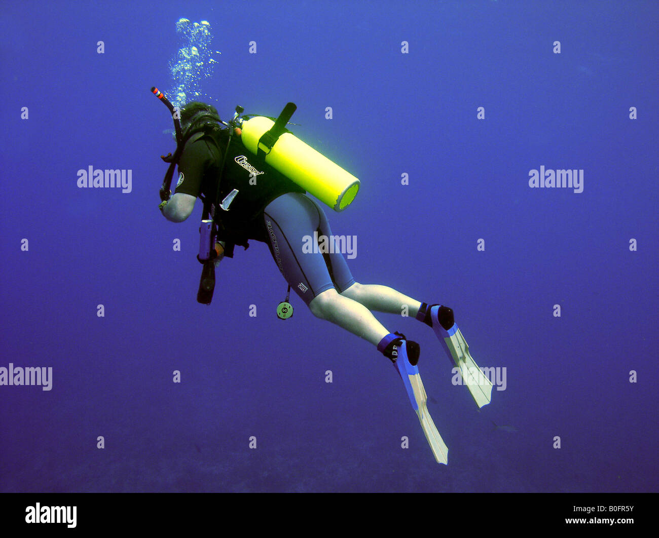 Scuba diver in Bimini Bahamas Stock Photo - Alamy