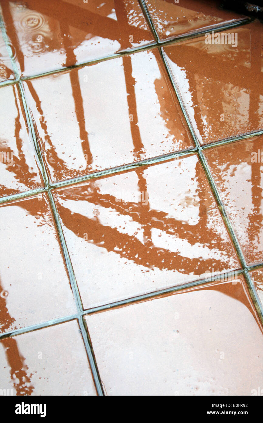 wet tiles with fence shadow in rain outdoors Stock Photo - Alamy