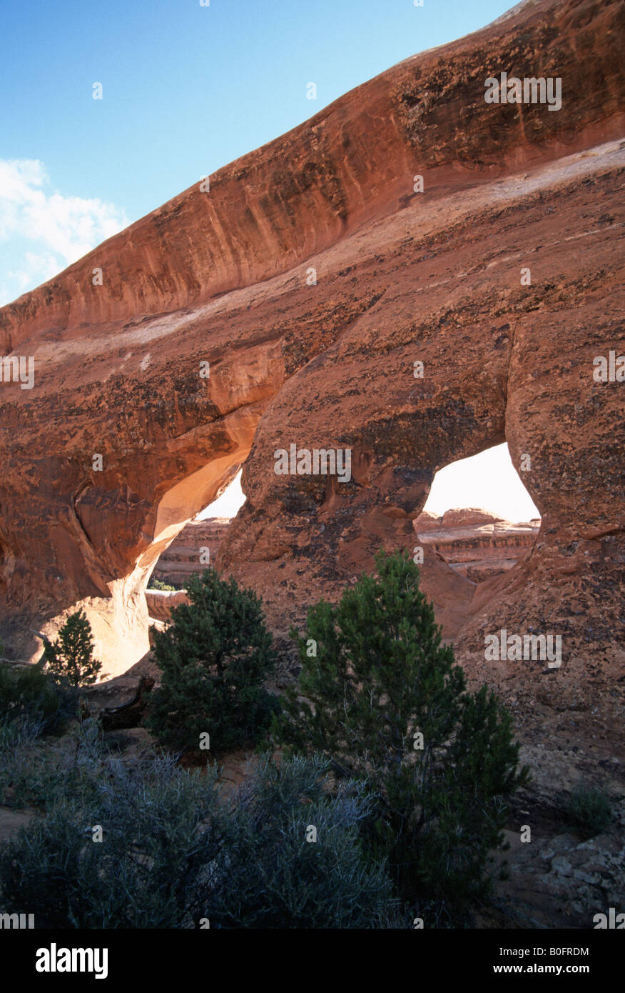 Anniversary arch hi-res stock photography and images - Alamy