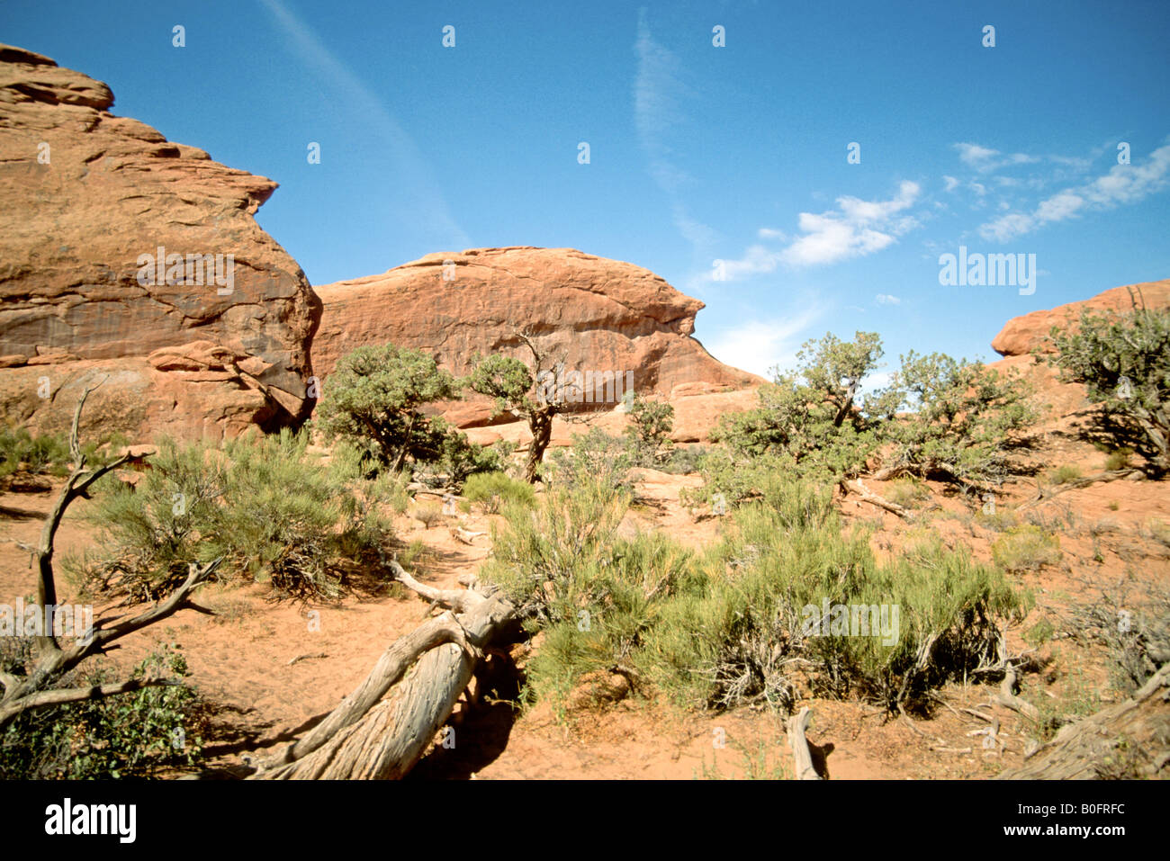 Primitave loop hi-res stock photography and images - Alamy