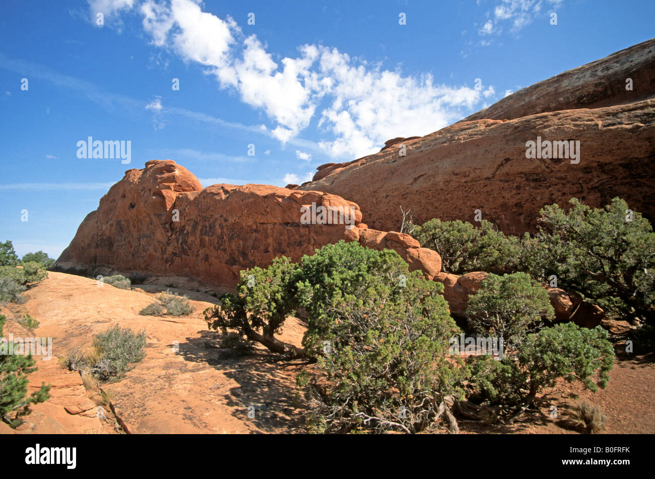 Primitave loop hi-res stock photography and images - Alamy