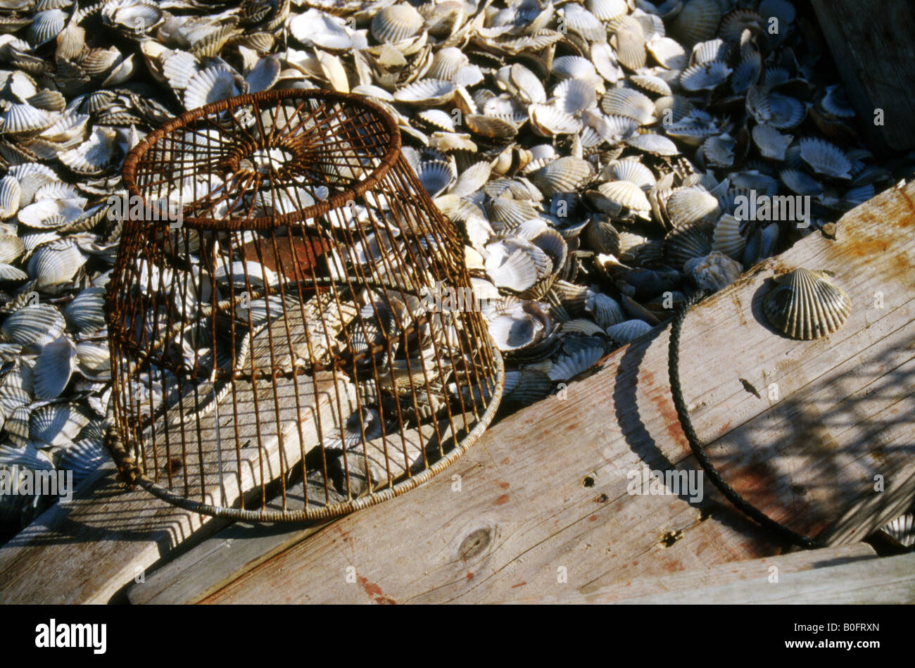 Lobster pot by small fishing boat sitting on a pile of sea shells ...