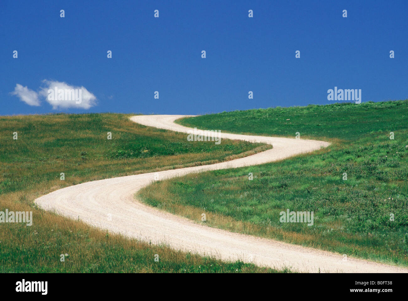 A dirt road in South Dakota road has a nice uphill curve Stock Photo ...