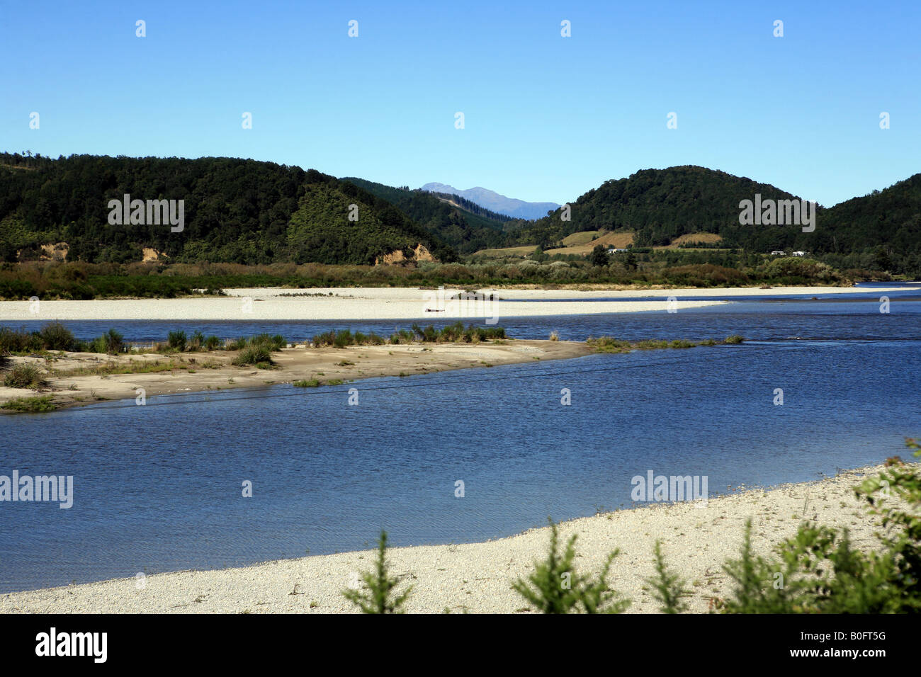 Grey river in Paparoa national park New Zealand Stock Photo - Alamy