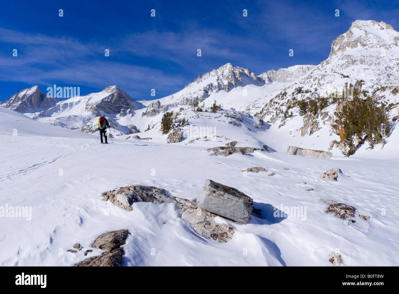 Backcountry skier under Mount Abbott in Little Lakes Valley John Muir ...