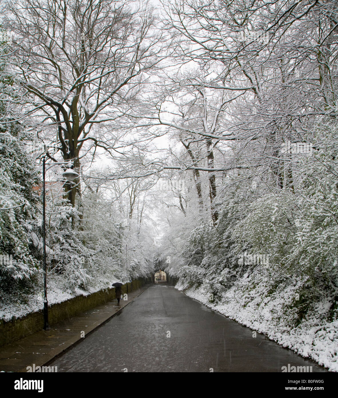 Old reigate hi-res stock photography and images - Alamy