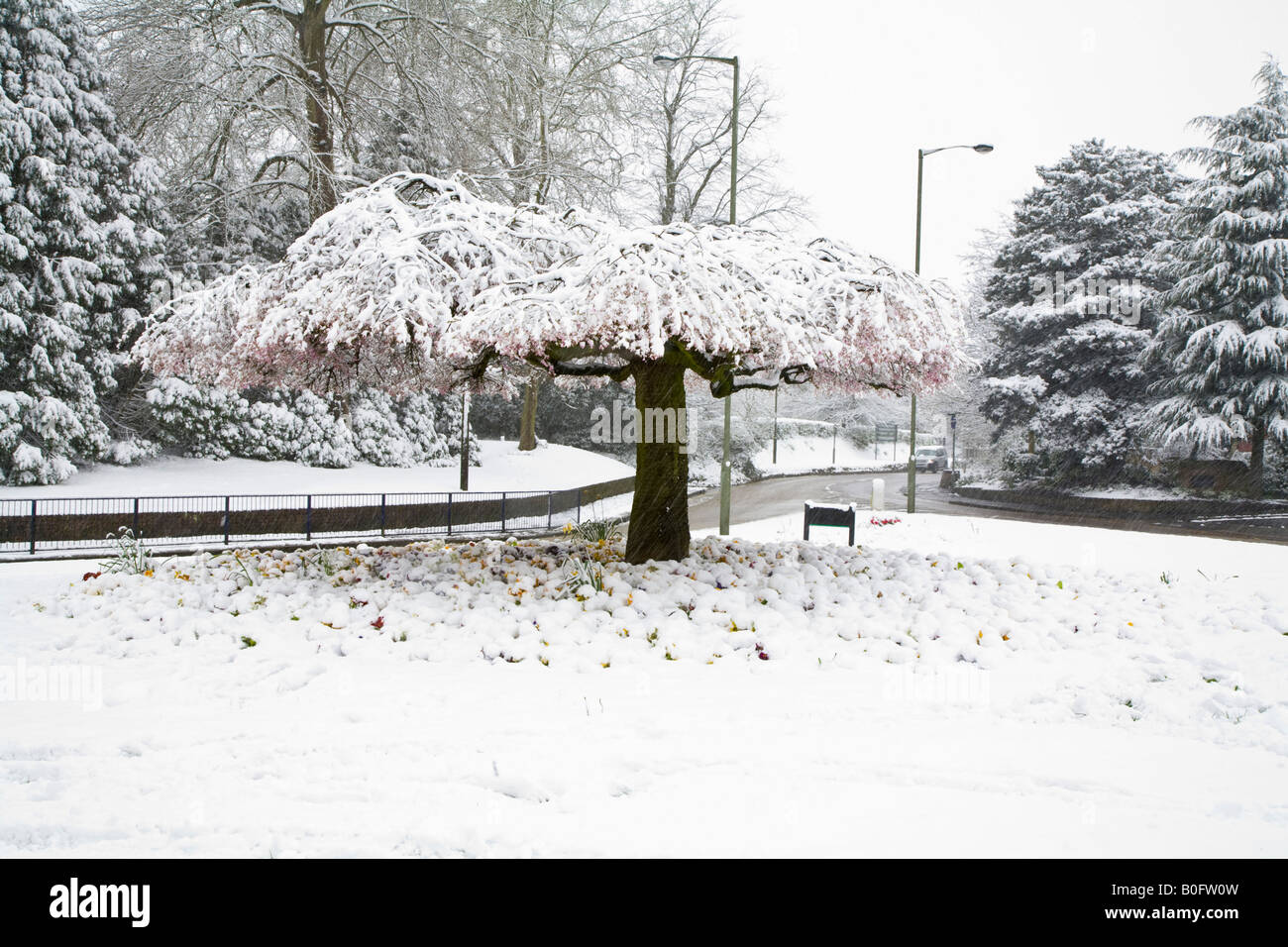 Old reigate hi-res stock photography and images - Alamy