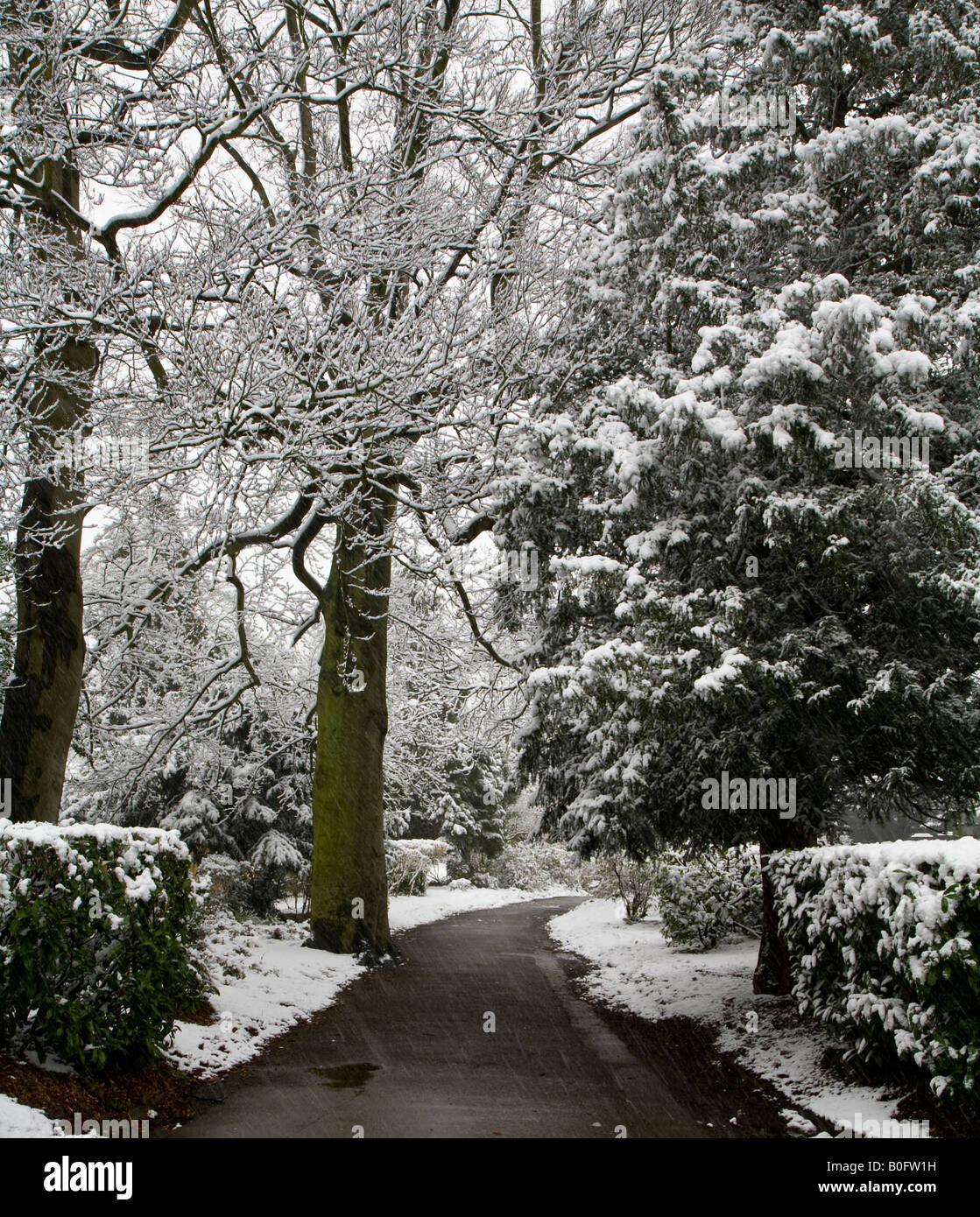 Old reigate hi-res stock photography and images - Alamy