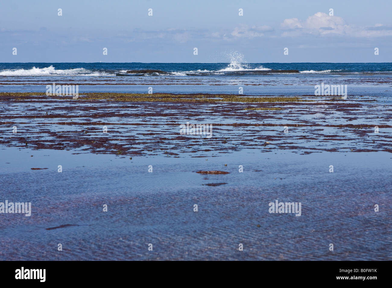 Waves breaking over the rock shelf at Long Reef Aquatic Reserve at Long ...