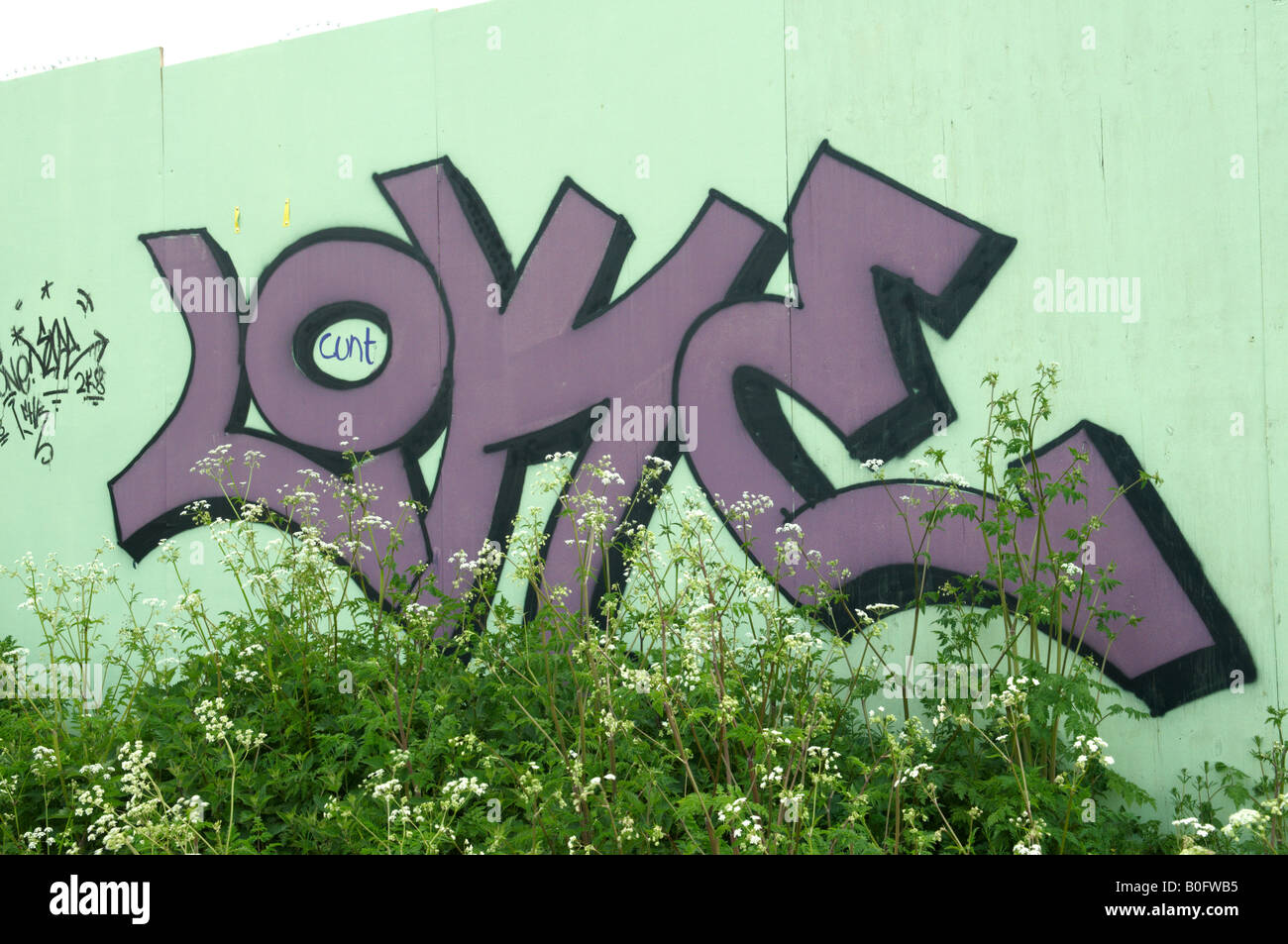 Bad language in graffiti love Overgrown wasteland - NB - this contains ...