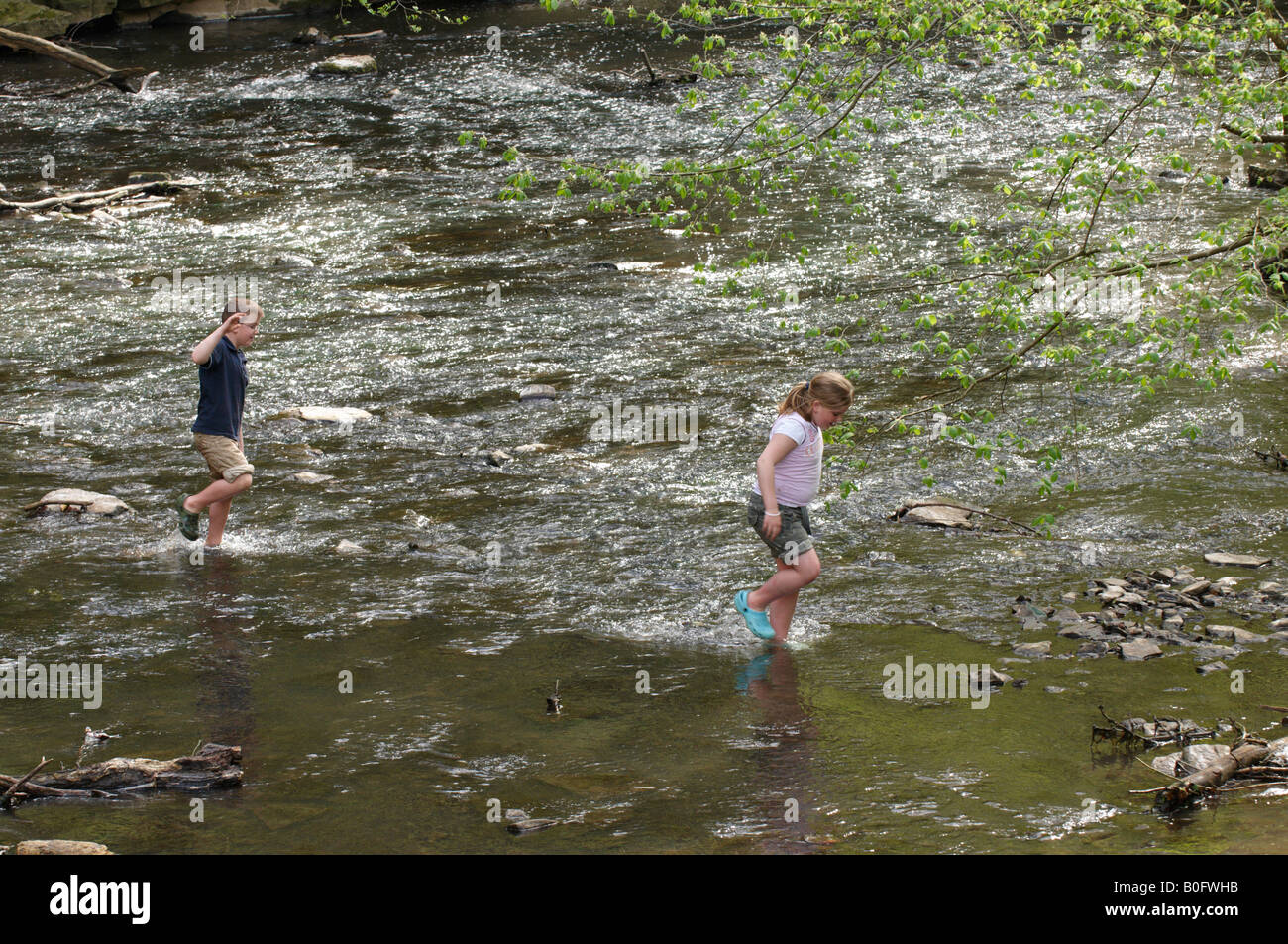 Boy girl wading in water hi-res stock photography and images - Alamy