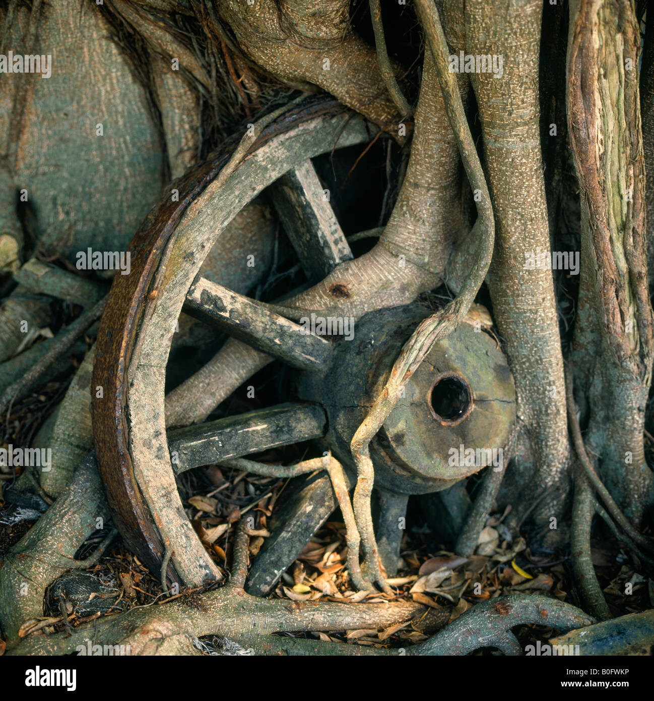Wooden wheel with spokes hi-res stock photography and images - Alamy
