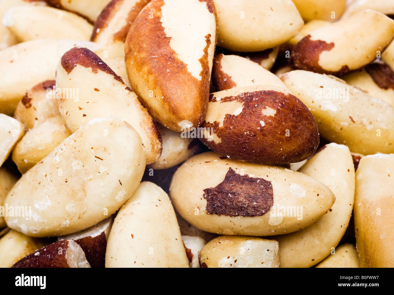 Brazil nuts close up Stock Photo - Alamy