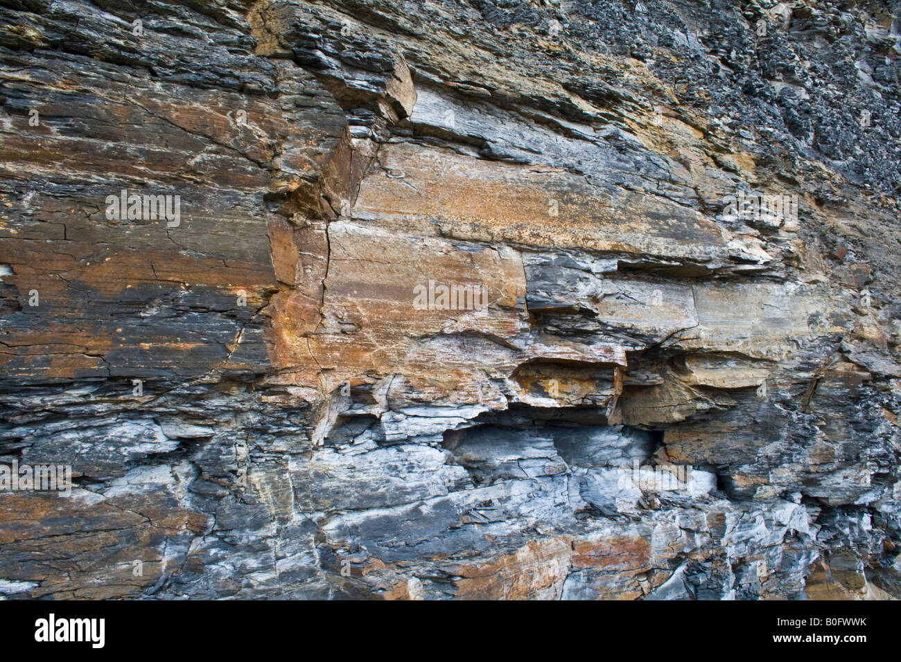 Jurassic Rock Face, Kimmeridge Bay, Dorset Stock Photo - Alamy