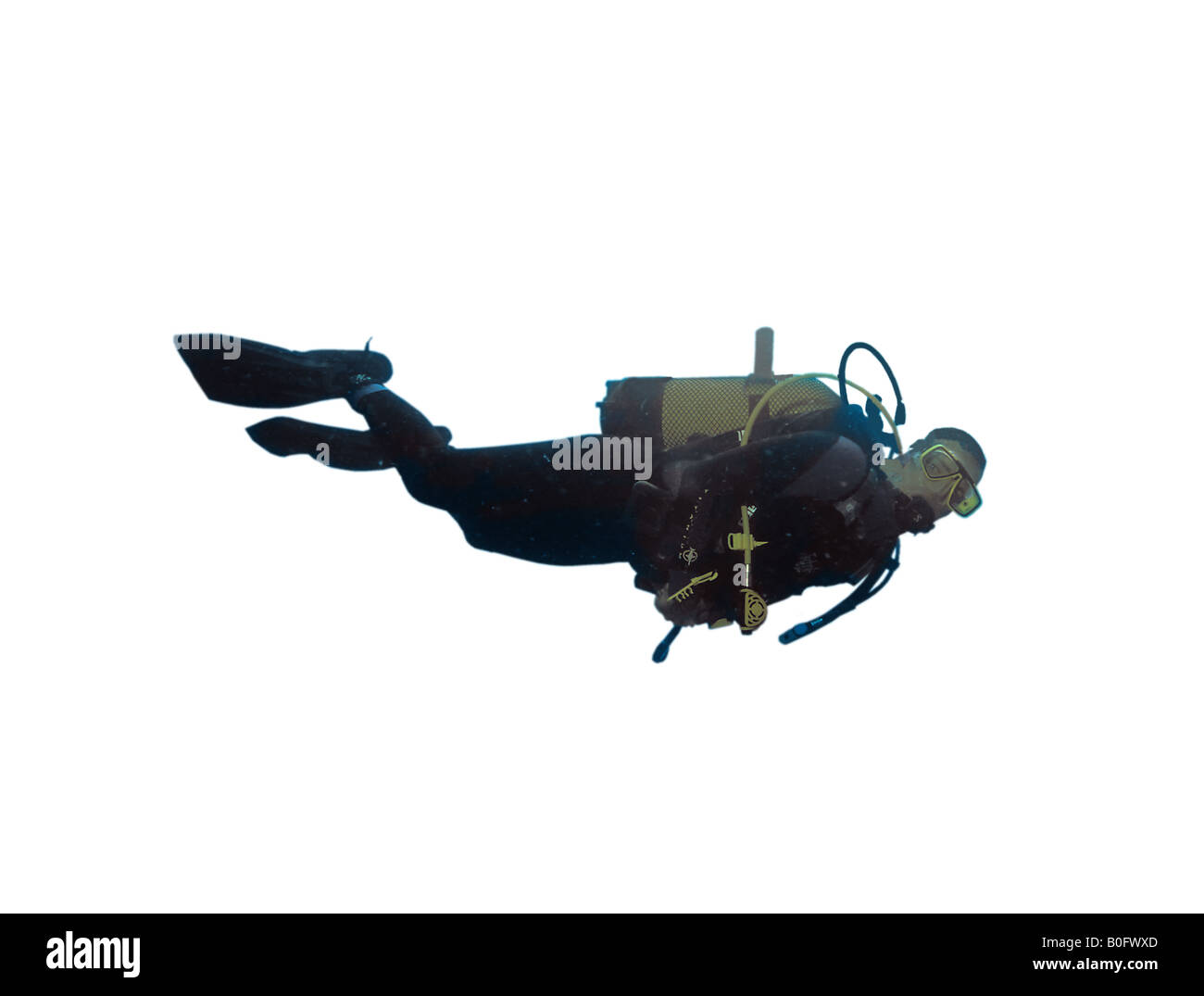 Diving underwater red sea egypt Cut Out Stock Images & Pictures - Alamy