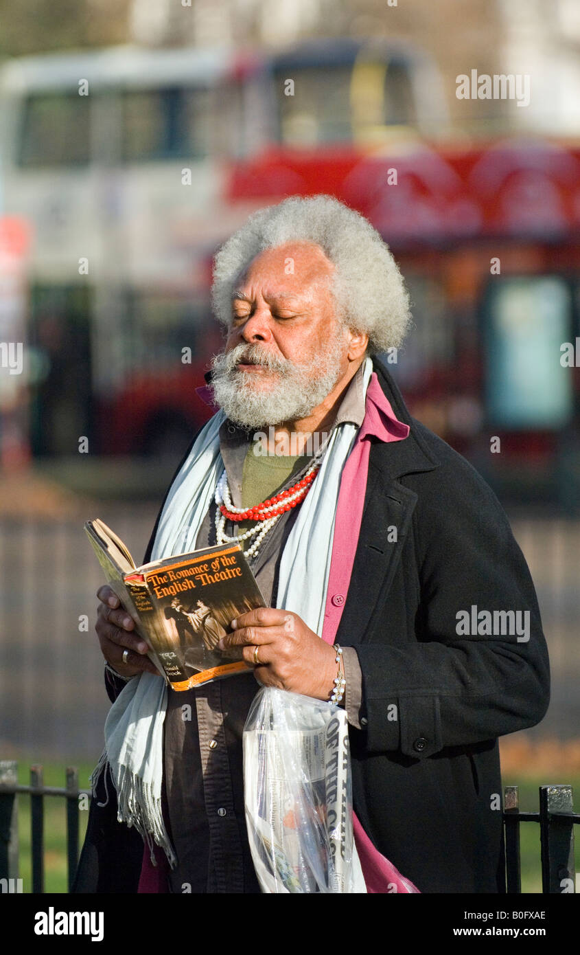 Man reading book, Speakers Corner, Hyde Park, London, UK Stock Photo ...